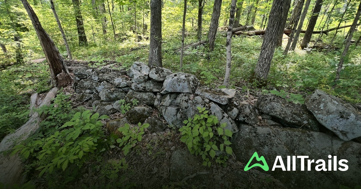 Best hikes and trails in Manderfield Preserve | AllTrails