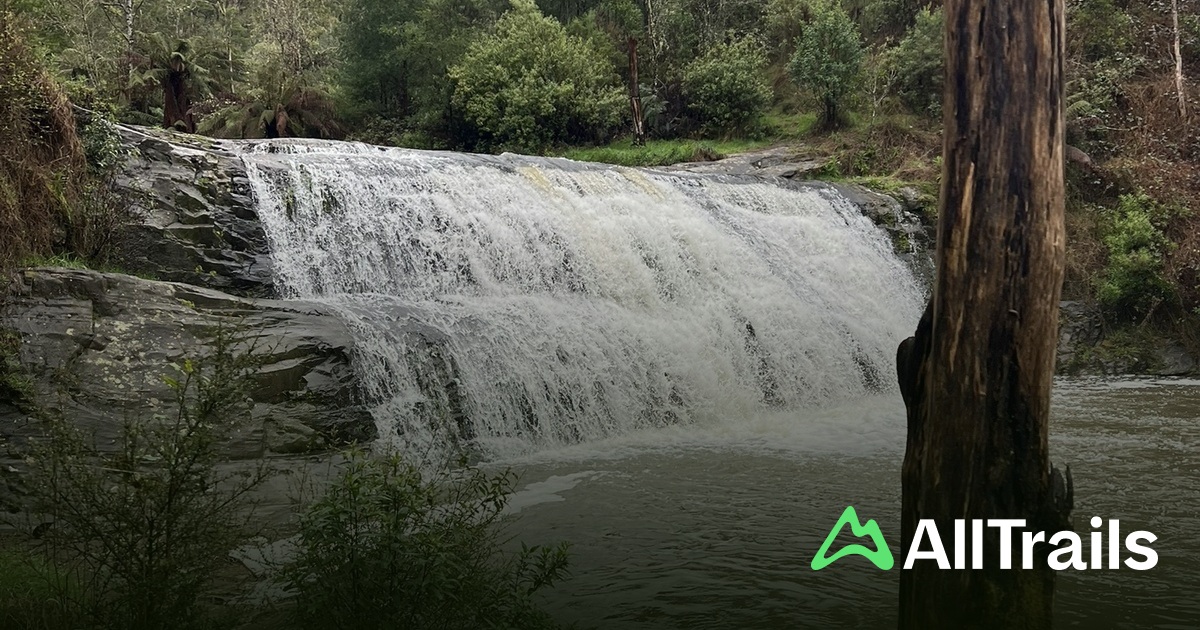 Best hikes and trails in Morwell River Falls Reserve | AllTrails