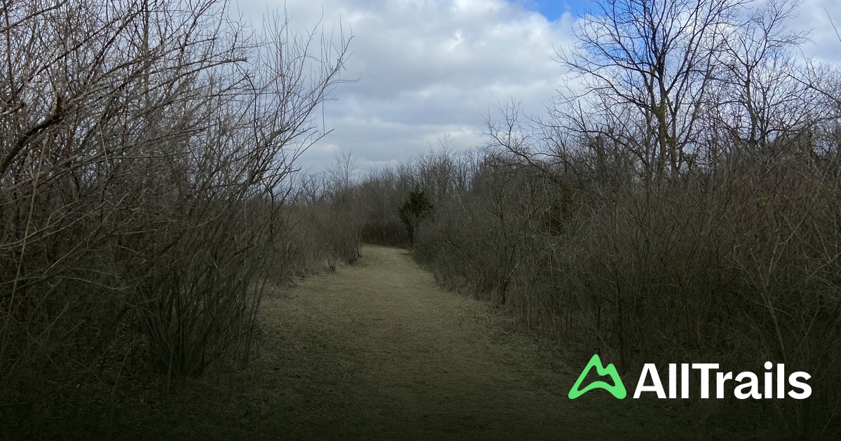 Line Hill Mound MetroPark : les meilleurs parcours de trail | AllTrails
