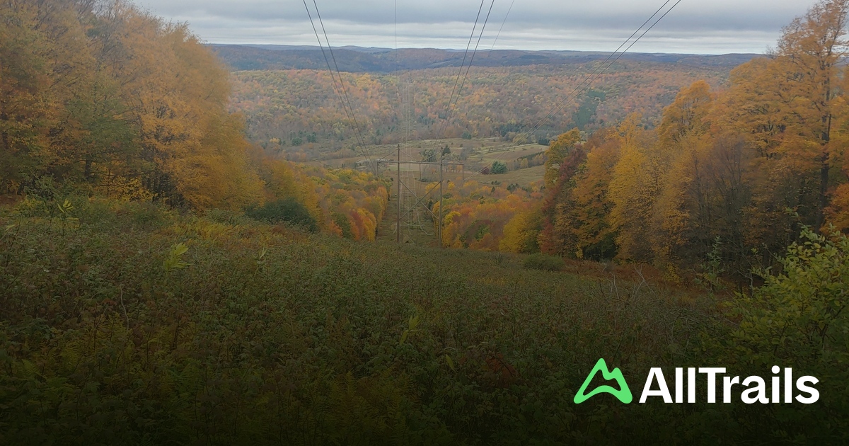 Best hikes and trails in Pfeiffer Nature Center: Lillibridge Tract ...