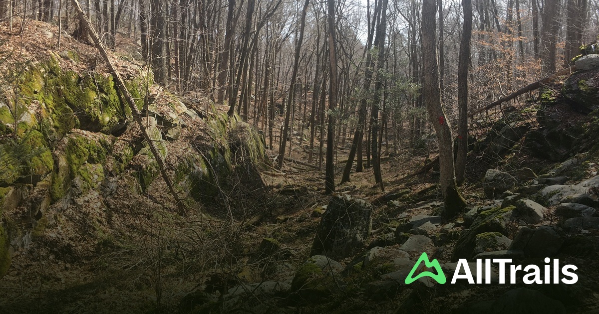 Best hikes and trails in Ravine Trail Preserve | AllTrails