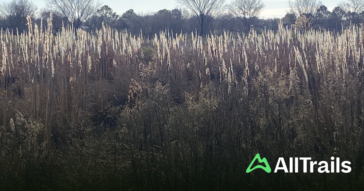 Best hikes and trails in Sylvan Rodriguez | AllTrails