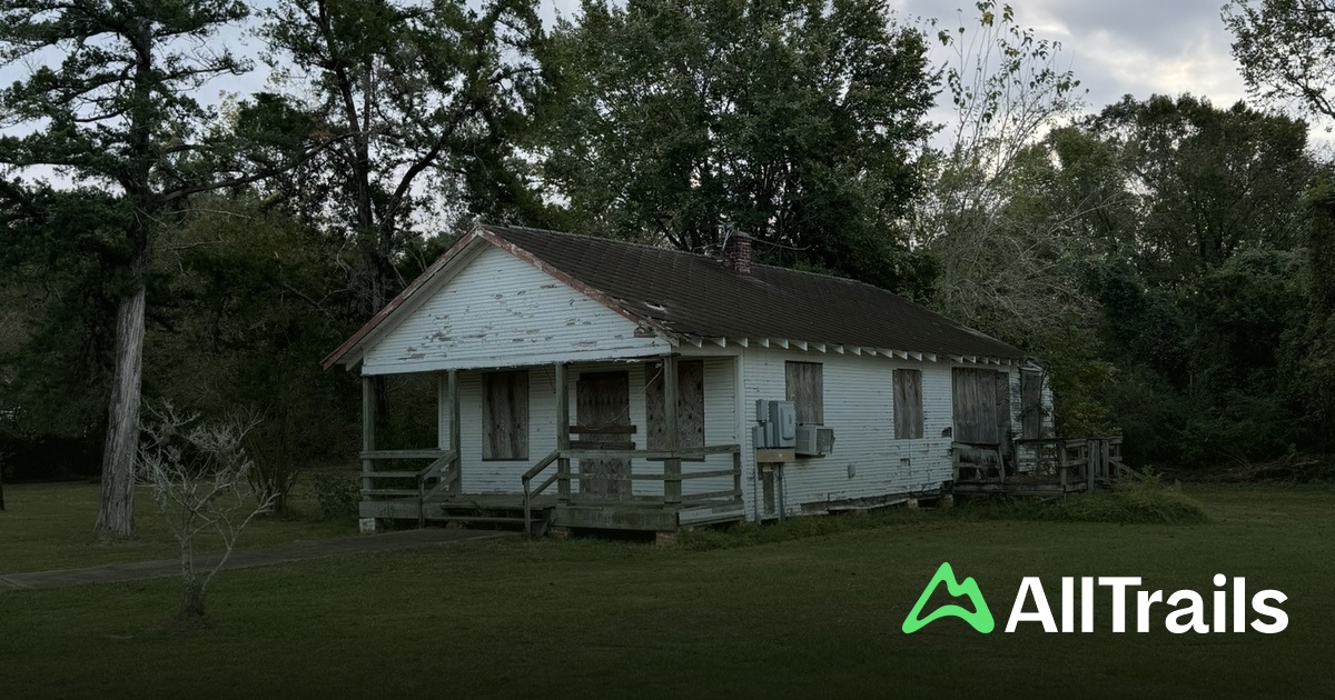 Best hikes and trails in Walter Hall Park | AllTrails