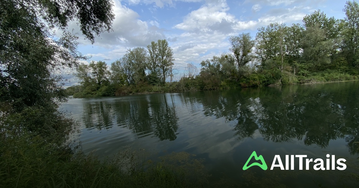 Best hikes and trails in Réserve naturelle de l'île du Rohrschollen ...