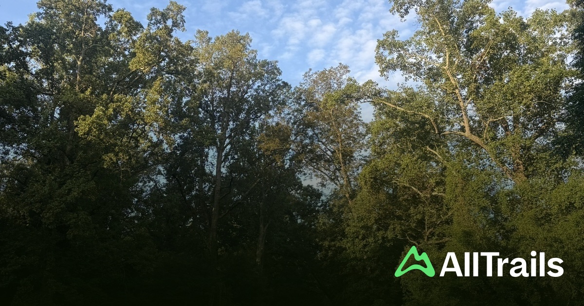 Best hikes and trails in Mac Anderson Park | AllTrails