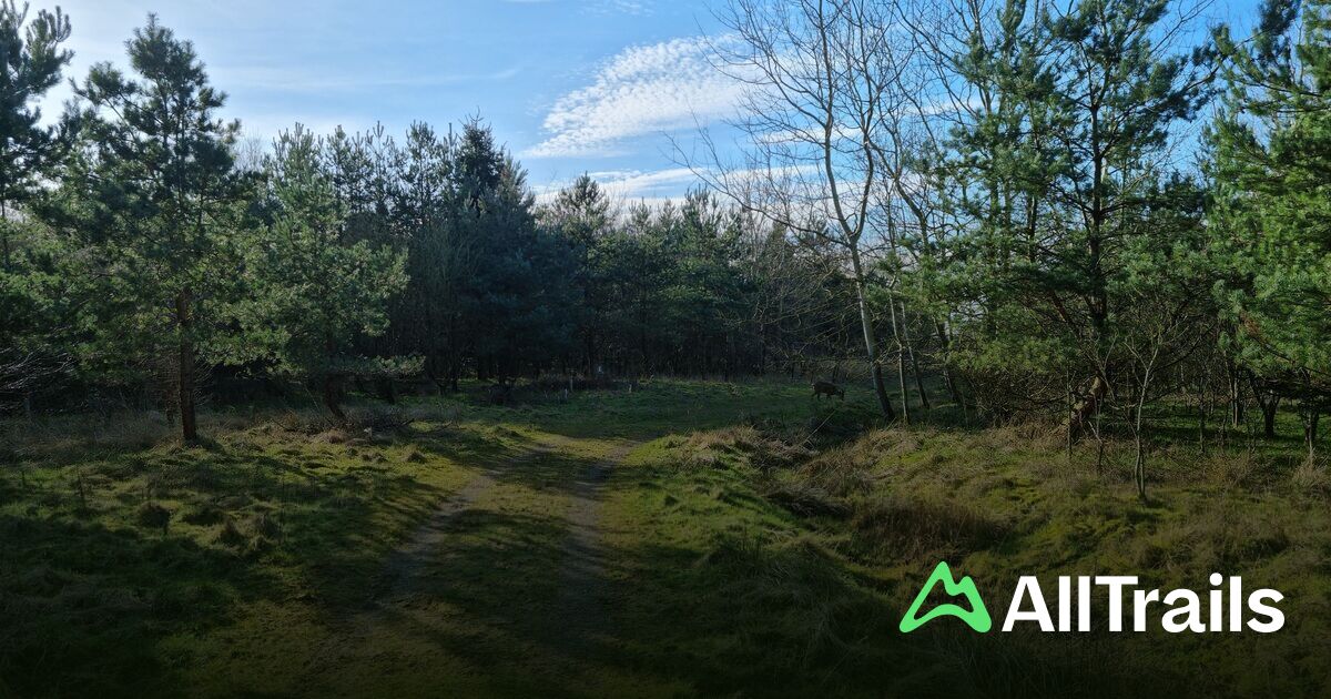 Best hikes and trails in Watchtree Nature Reserve | AllTrails