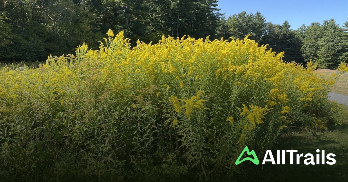 Best hikes and trails in Pitney Meadows Community Farm | AllTrails