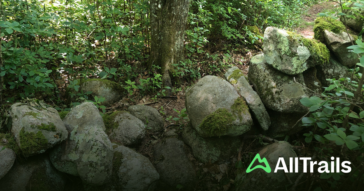 Bästa lederna för snöskovandring i Fearing Hill Conservation Area ...