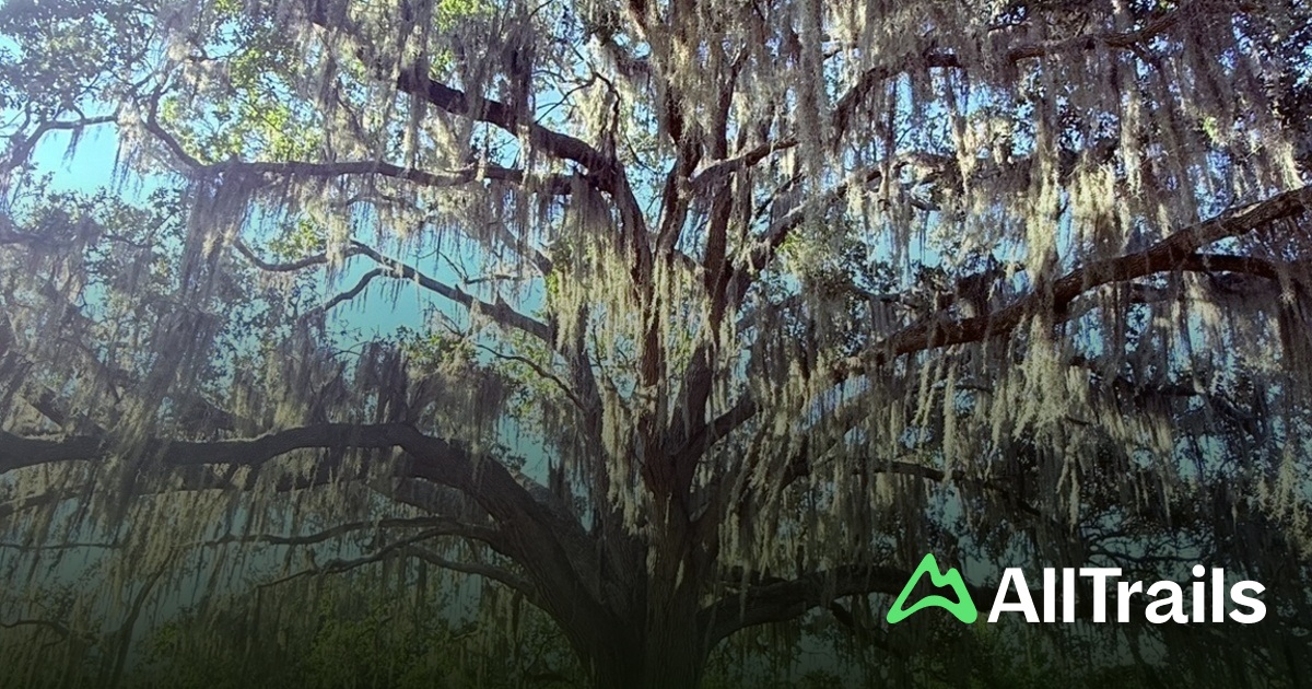 Bästa lederna för traillöpning i Lake Blue Park | AllTrails