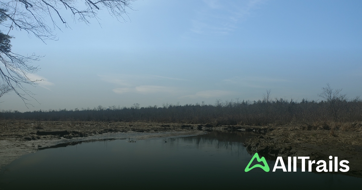 Best hikes and trails in Misty Meadows Conservation Area | AllTrails