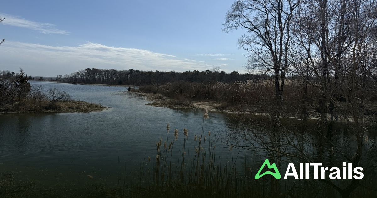 Best hikes and trails in Broad Cove Preserve | AllTrails