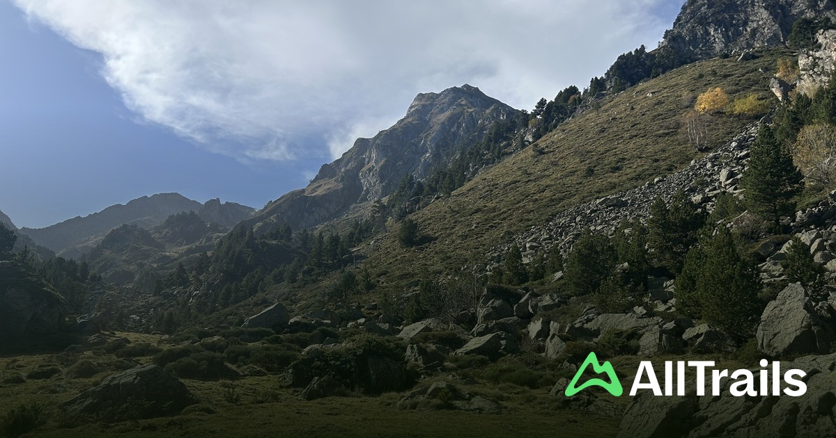 Best hikes and trails in Forêt Domaniale des Ares | AllTrails