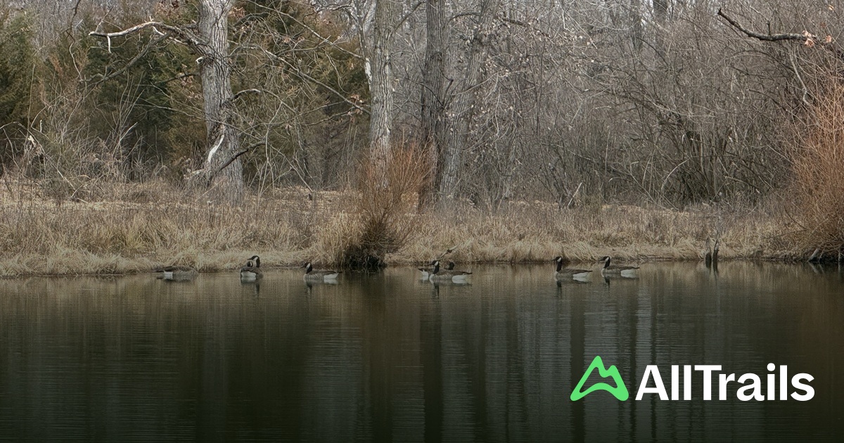 Best hikes and trails in Spring Run Conservation Area | AllTrails