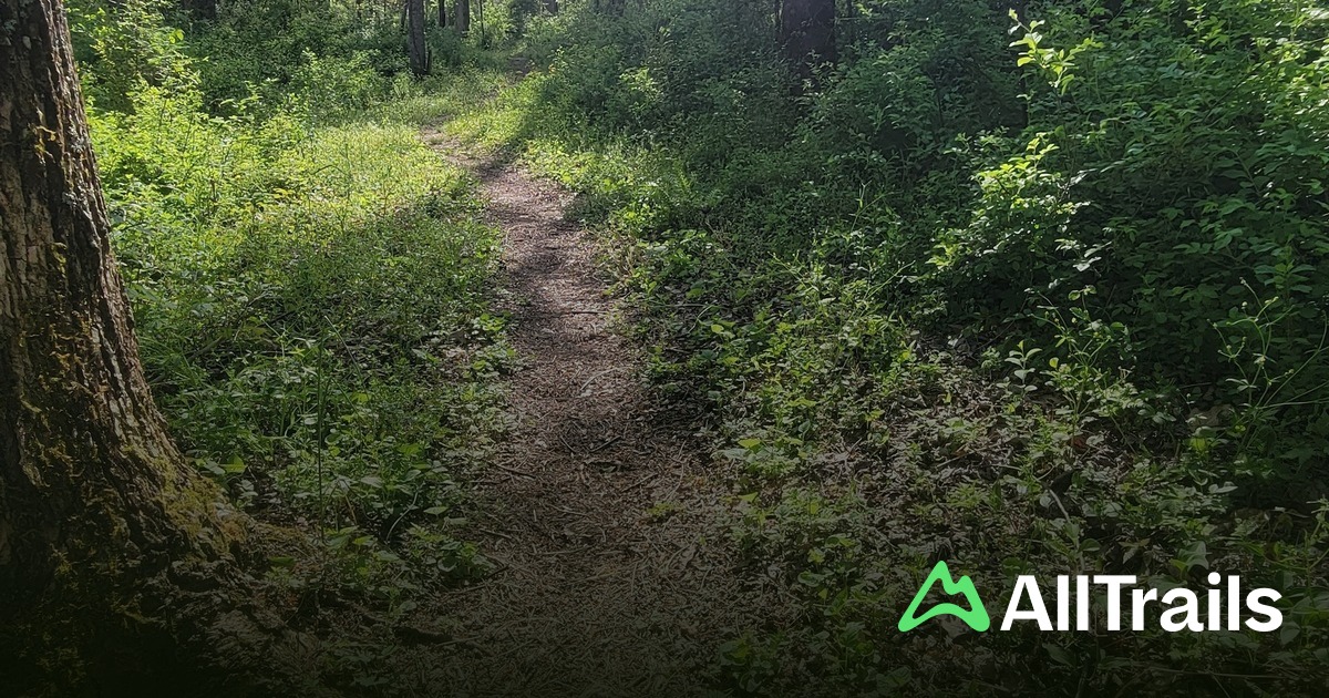 Die Besten Kurzen Routen in Bradley Nature Preserve | AllTrails