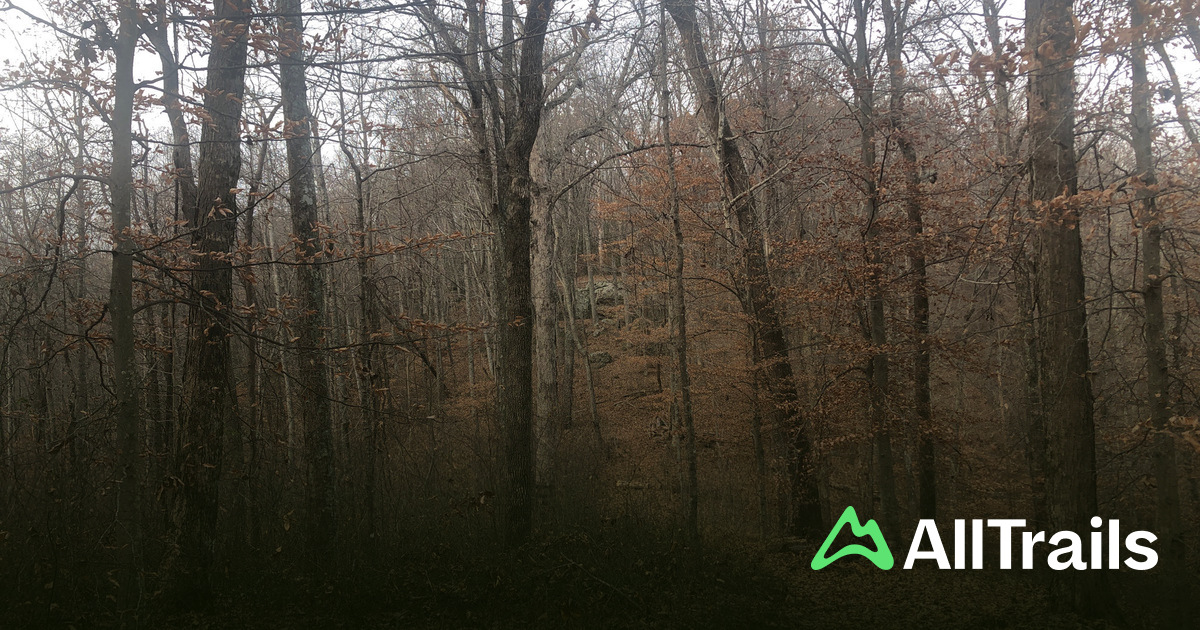 10 Best hikes and trails in Scott's Gulf Wilderness State Park | AllTrails