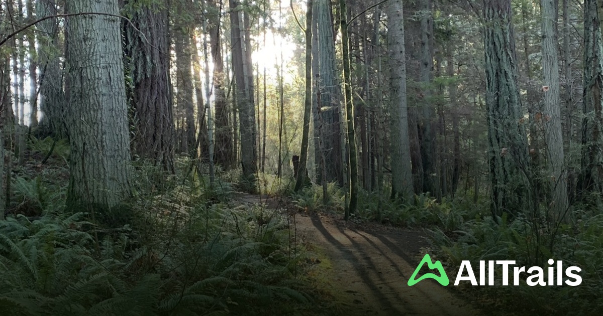 Best hikes and trails in West Port Madison Nature Preserve | AllTrails