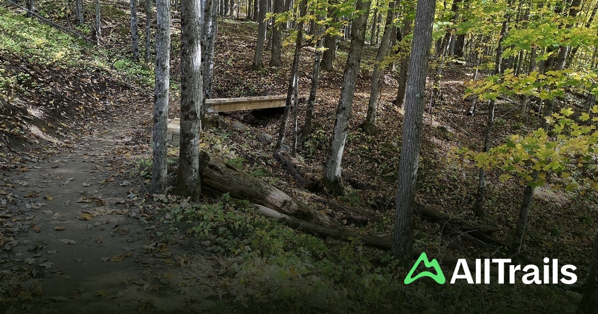 Best hikes and trails in East Branch Community Trails | AllTrails