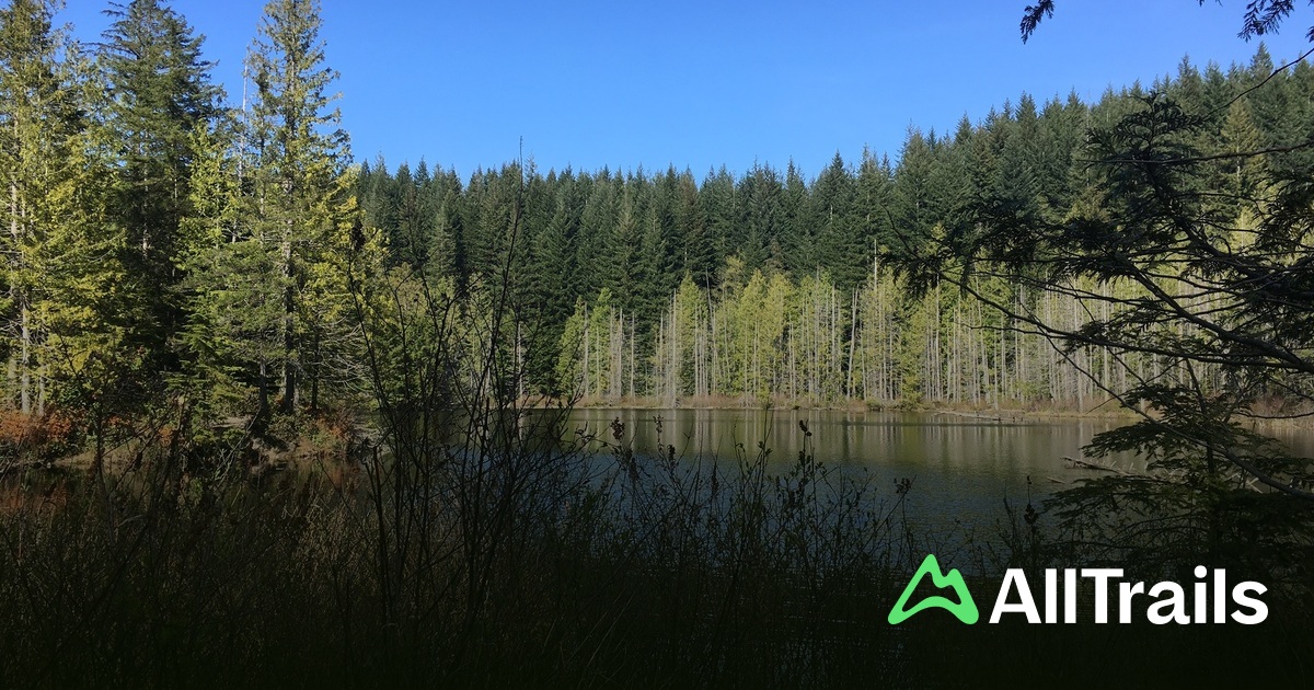 Best hard trails in Chuckanut Mountain Park | AllTrails