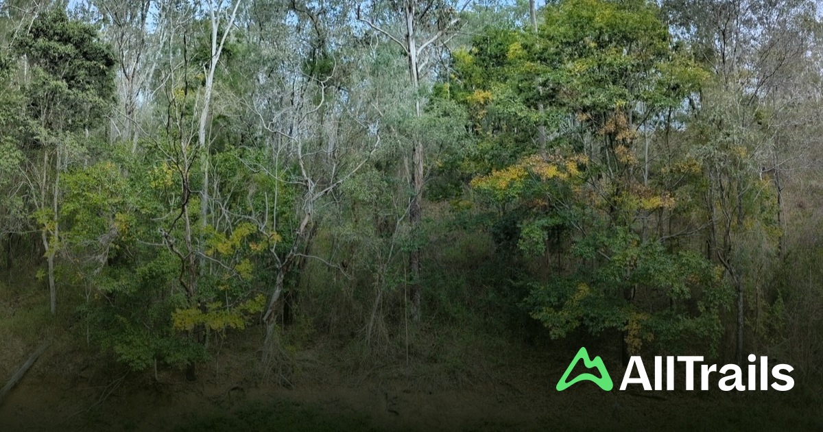 Best hikes and trails in Mount Crosby Road Park | AllTrails