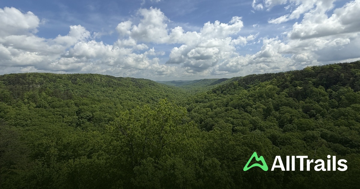 I migliori sentieri facili in Pickett State Forest | AllTrails