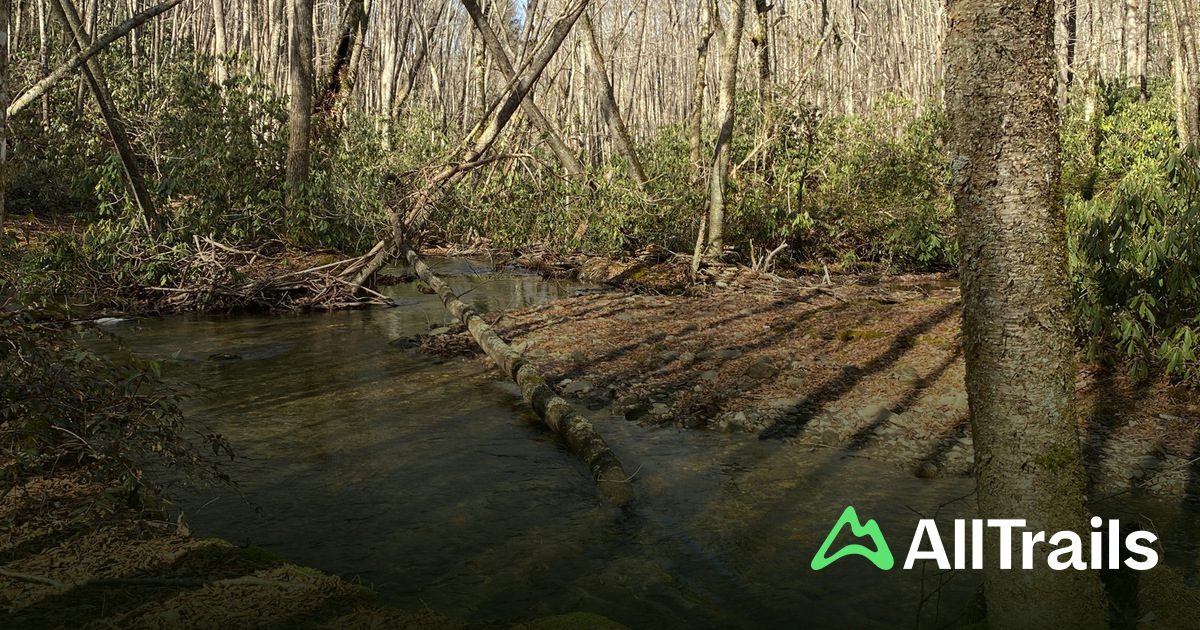 Best hikes and trails in Martha Sundquist State Forest | AllTrails