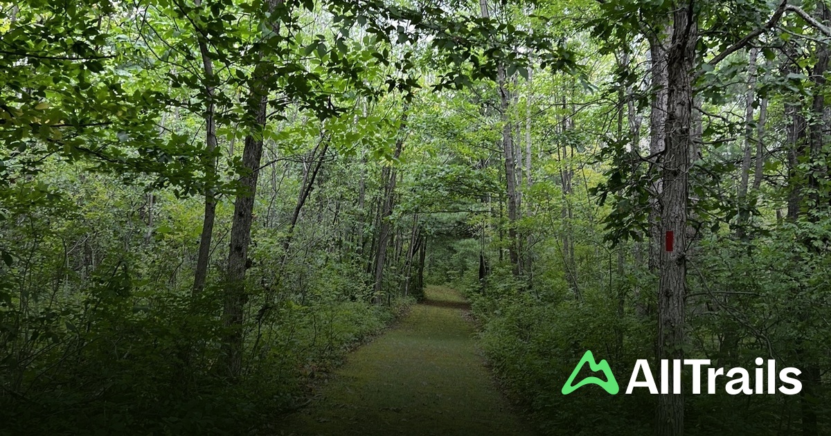 Indian Ladder Farms : les meilleures randonnées faciles | AllTrails