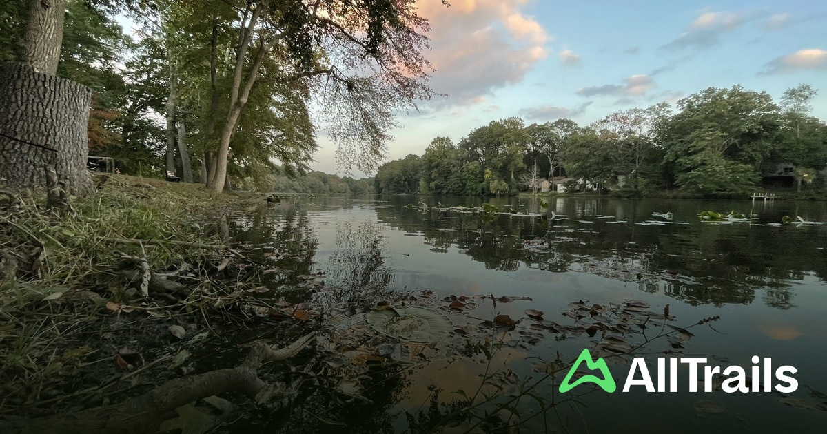 Bedste nemme ruter i Lake Topanemus Park | AllTrails