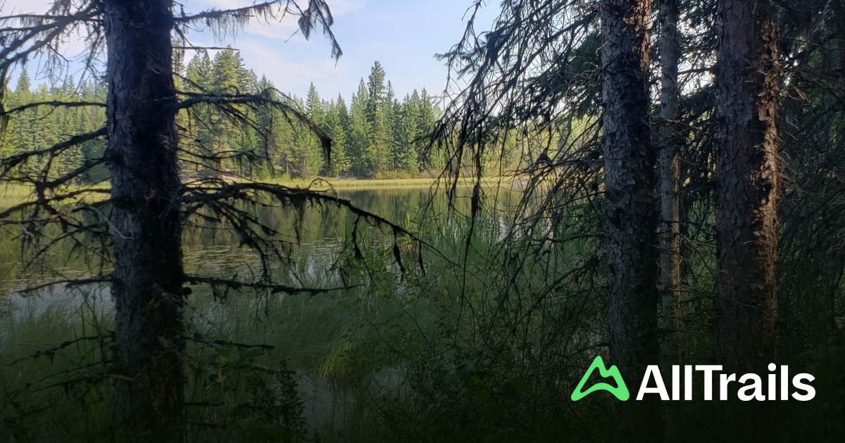 Best hikes and trails in Link Lake Recreation Site | AllTrails