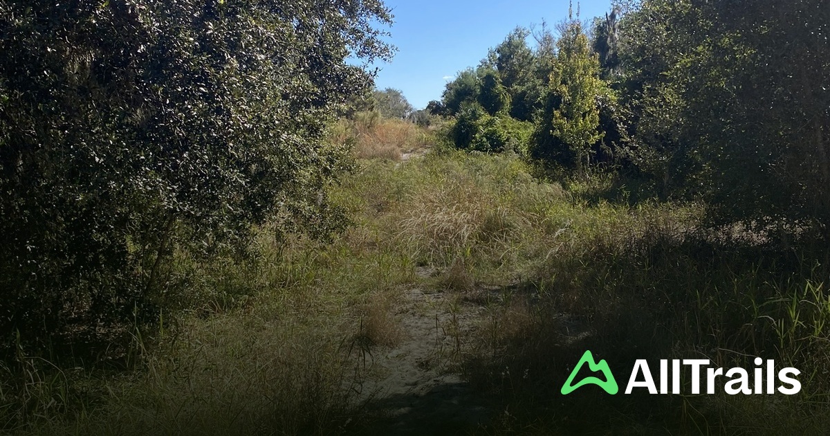 Best hikes and trails in Jack Creek - Lake Wales Ridge Wildlife and ...