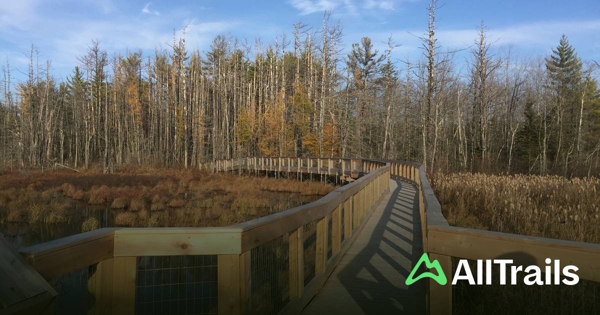 Best snowshoeing trails in Alice Bemis Thompson Wildlife Sanctuary ...