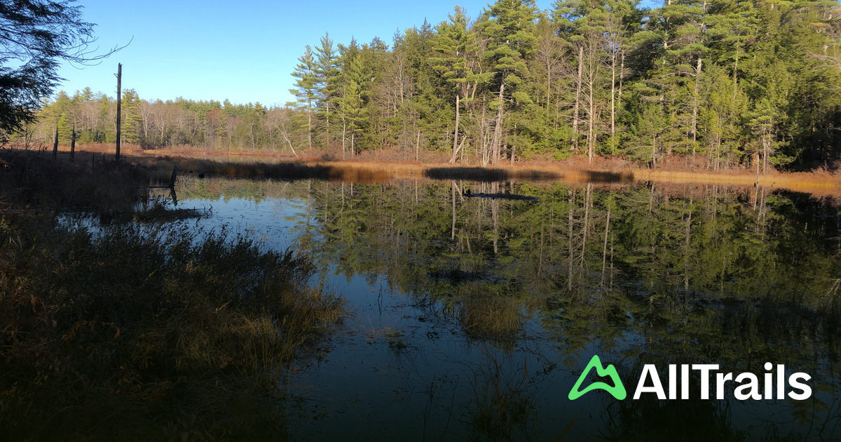 Best lake trails in Page Pond and Forest | AllTrails