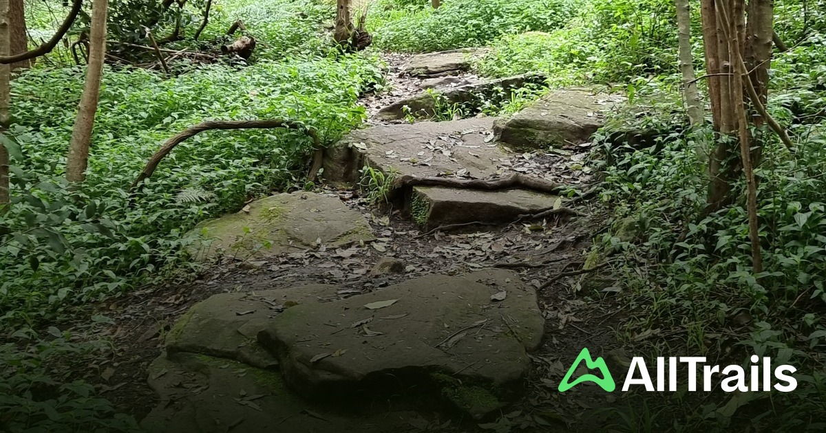 Best hikes and trails in Moxham Park | AllTrails