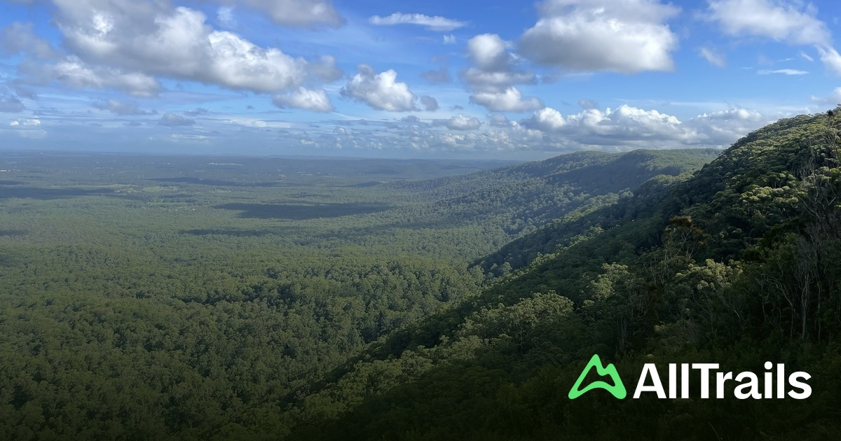 Best trail running trails in The Hunter Lakes Flora Reserve | AllTrails