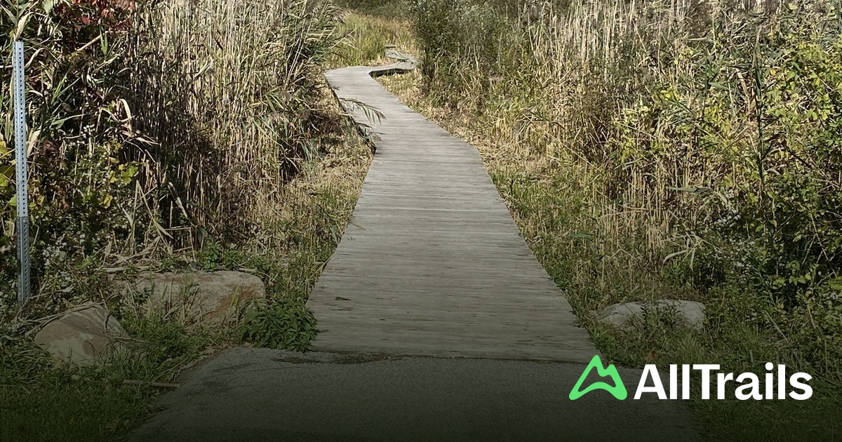 Best easy trails in Lytle Nature Preserve | AllTrails