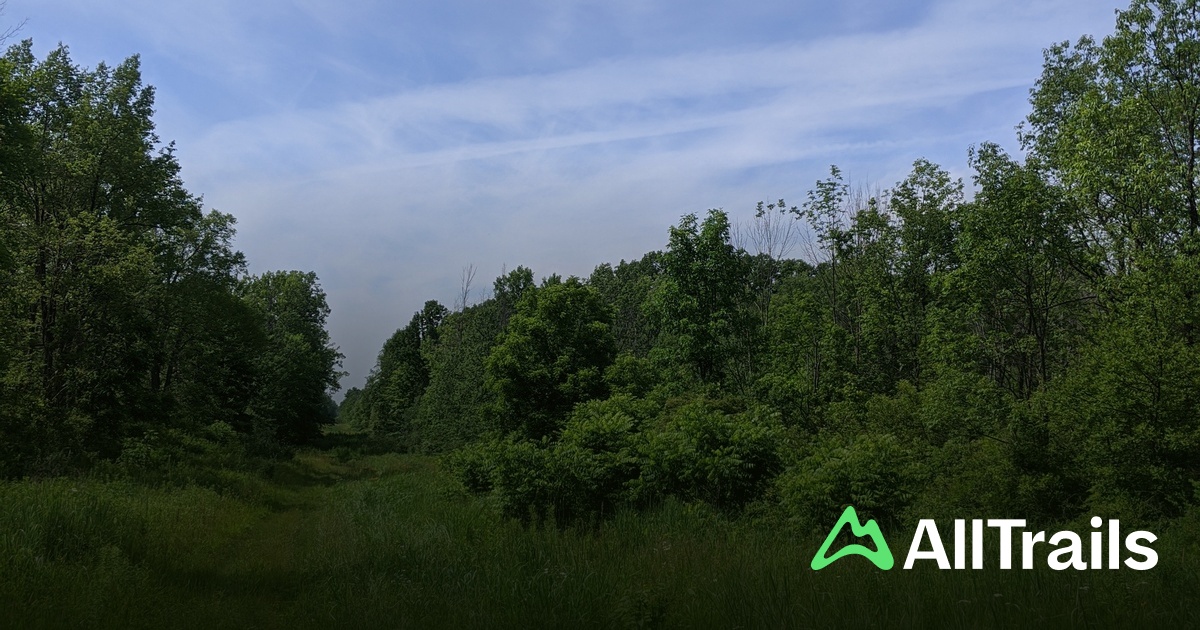 Best hikes and trails in Beeman Creek Park | AllTrails