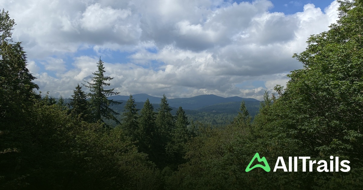 Best hikes and trails in Snoqualmie Tree Farm | AllTrails