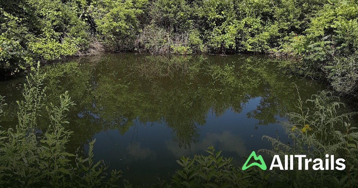 Best hikes and trails in Michael C. Fucci Memorial Park | AllTrails