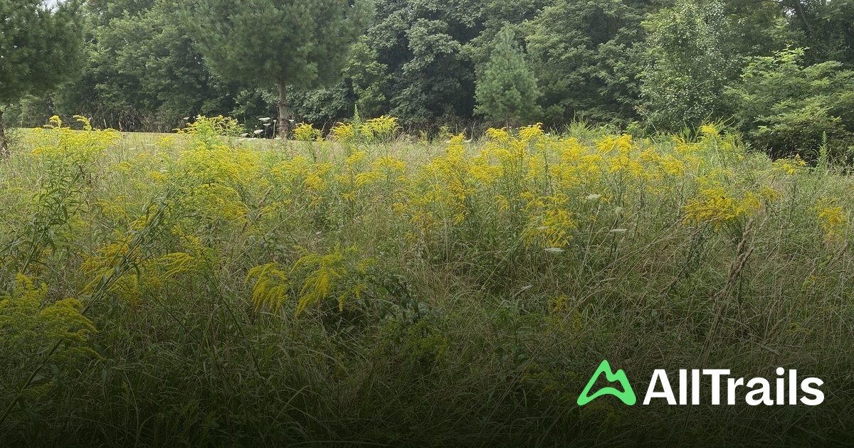 Best hikes and trails in Sam Michaels Park | AllTrails