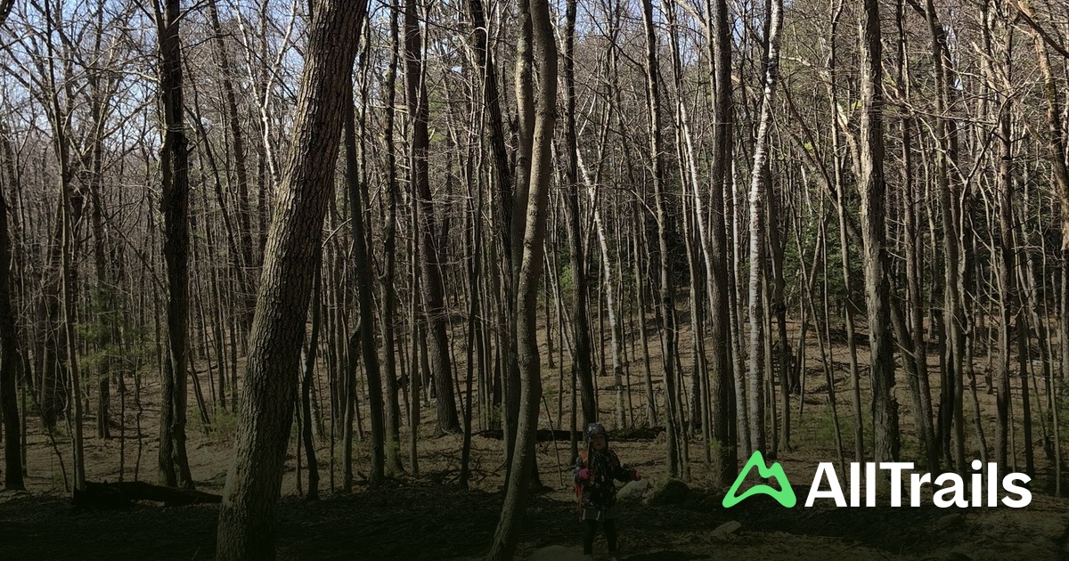 Best hikes and trails in Colburn Town Forest | AllTrails