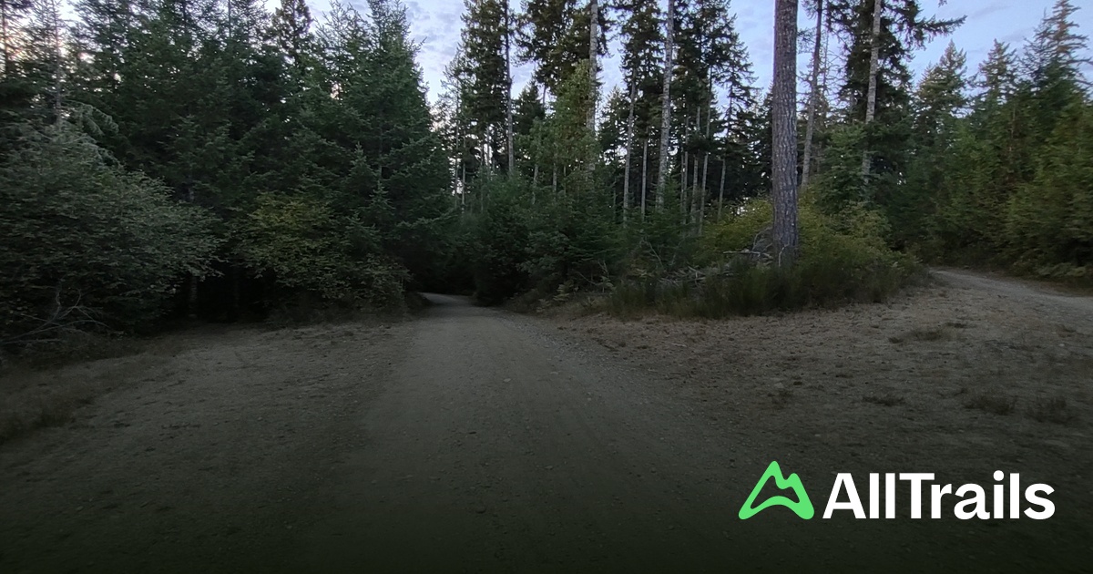 Best hikes and trails in 360 Project | AllTrails