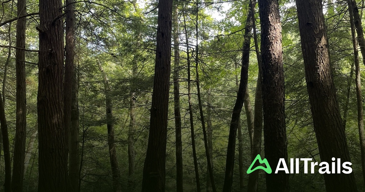 Best hikes and trails in Bossard Nature Area | AllTrails