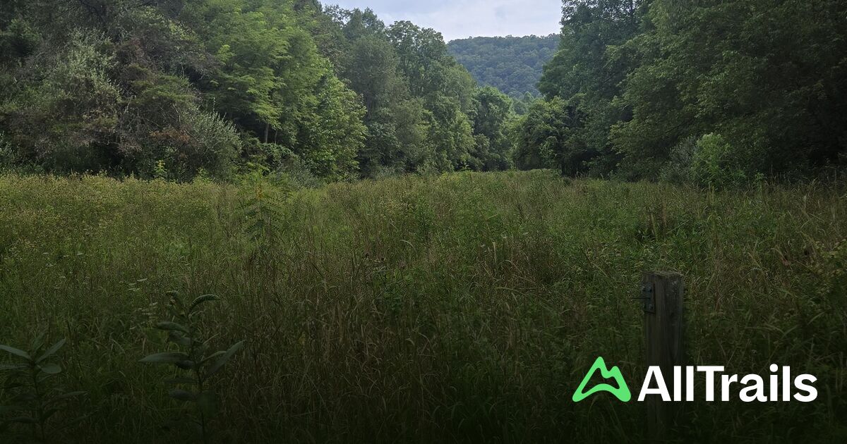 Burnsville Lake Wildlife Management Area : les meilleures randonnées ...