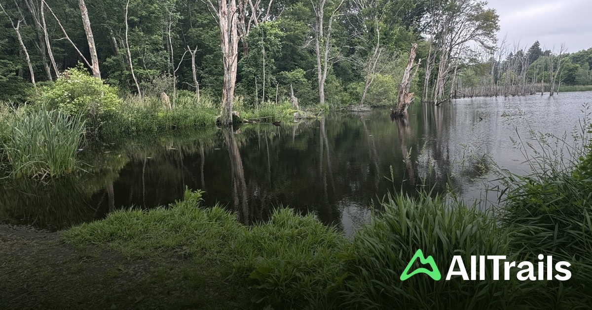 Best historic site trails in Beaver Brook North Reservation | AllTrails