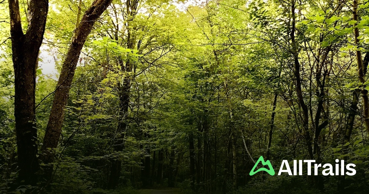 Best hikes and trails in Fern Hill Park | AllTrails