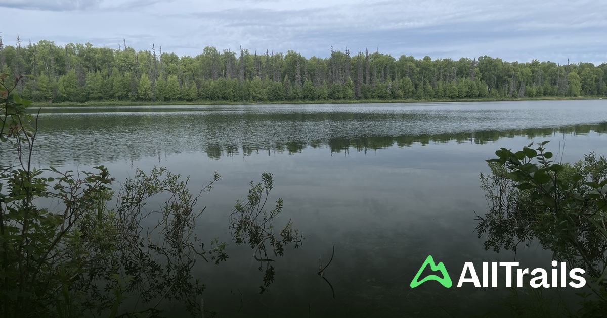 Best hikes and trails in Talkeetna Lakes Park Trail System | AllTrails