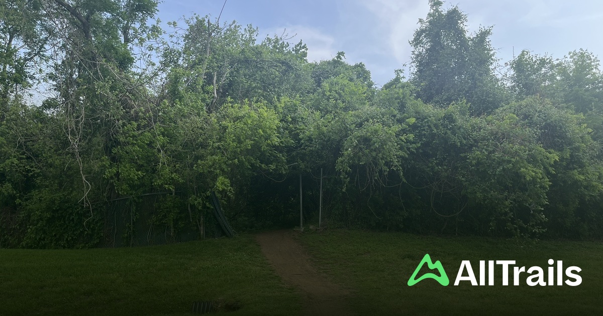 Best hikes and trails in Brazos River Trails | AllTrails