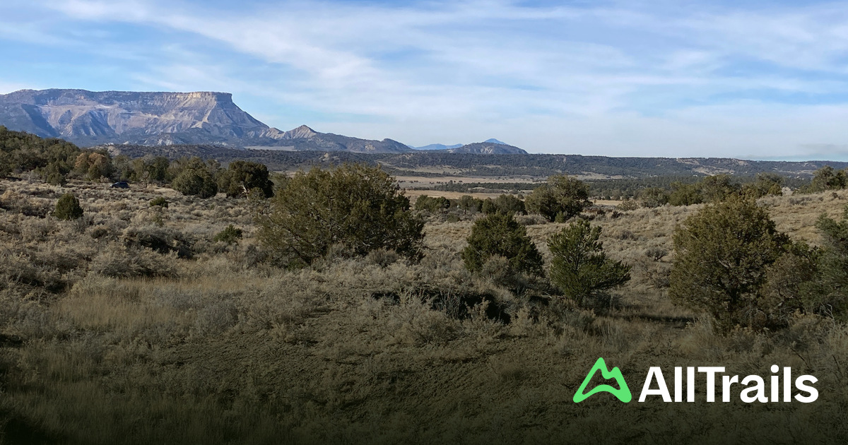 Bästa ridlederna i BLM- Tres Rios Field Office | AllTrails