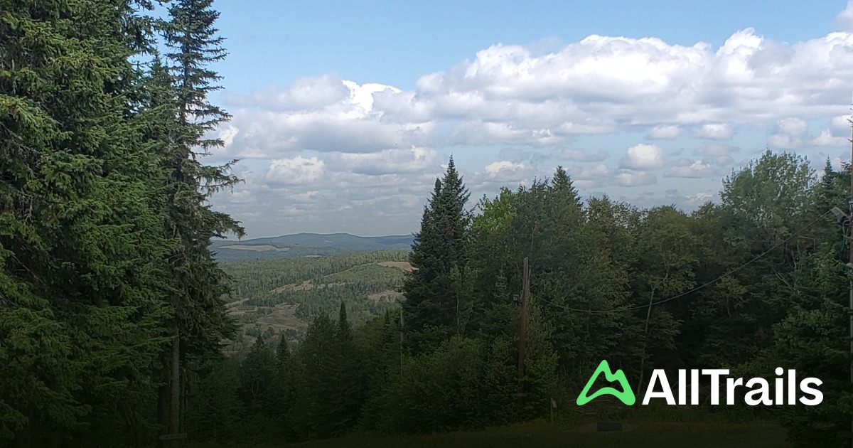 Best wildflower trails in Fort Kent Outdoor Center | AllTrails