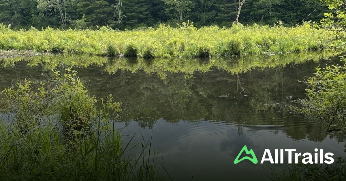Best hikes and trails in Forest Reserve at Smallwood | AllTrails