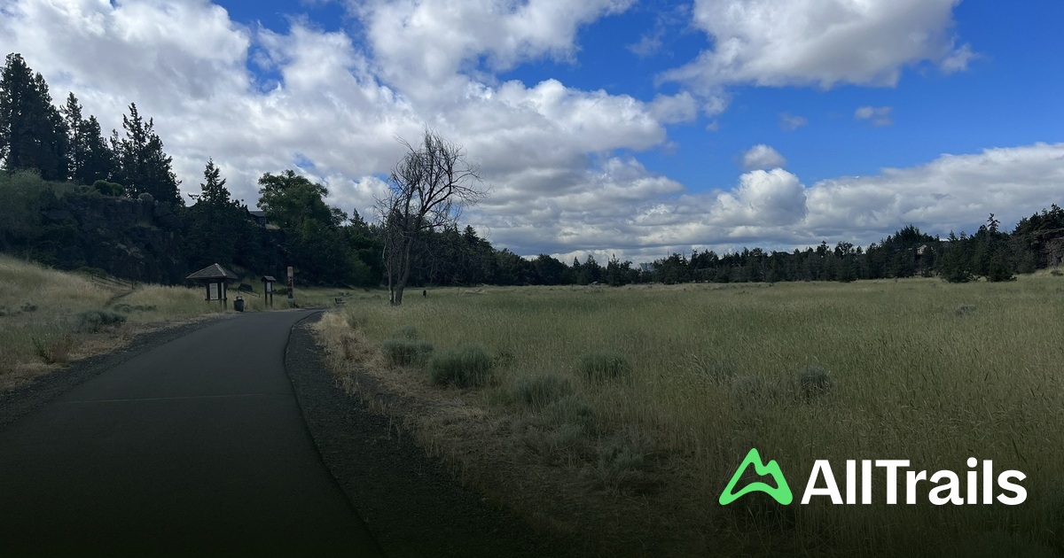 Best hikes and trails in Dry Canyon Park | AllTrails